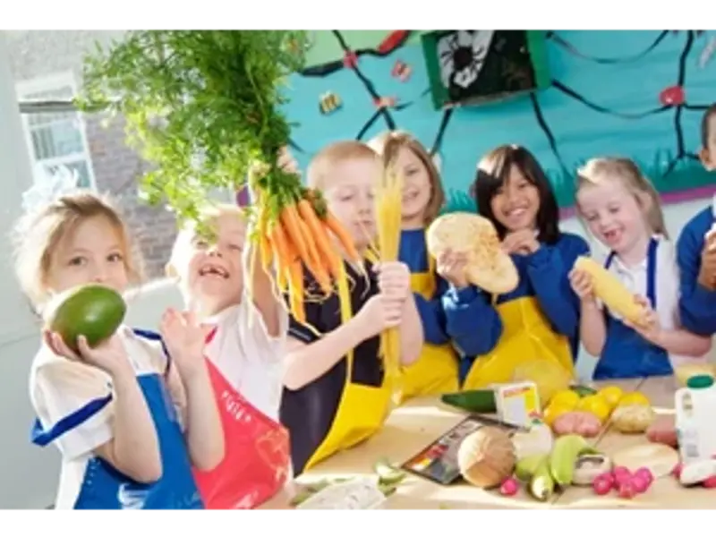 News | British Nutrition Foundation