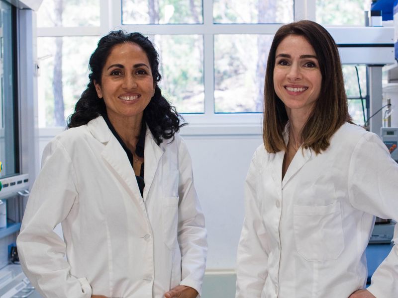 Our Values: British Nutrition Foundation