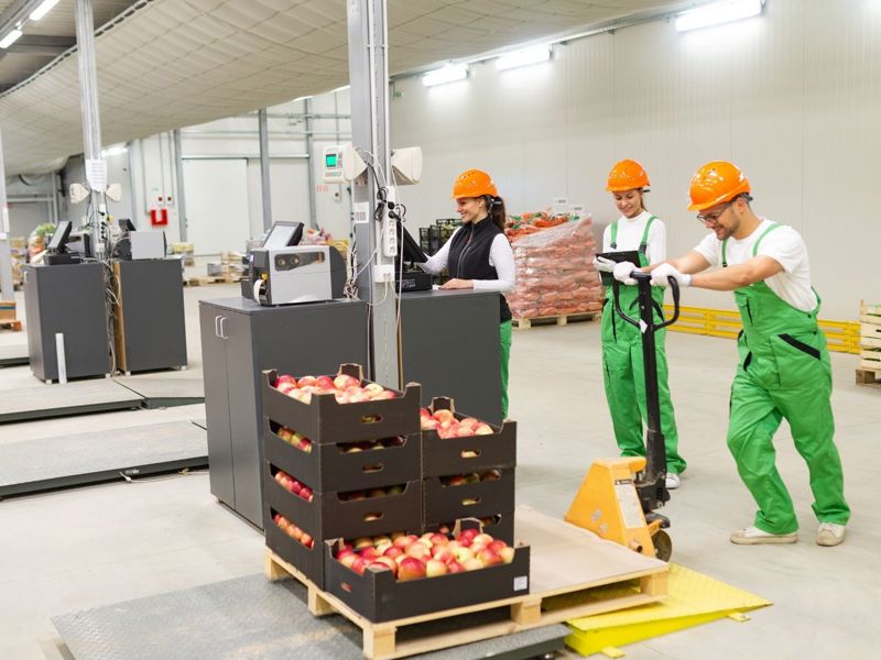 About the British Nutrition Foundation